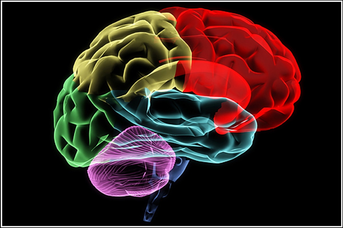 Sırlarla Dolu "Beyin" Hakkında Bilinmesi Gereken 24 Şaşırtıcı Gerçek ...