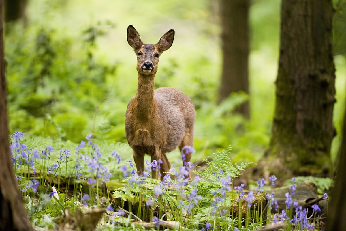 2014 Yılının En Prestijli Ödüllerini Almış 46 Büyüleyici Fotoğraf - Onedio