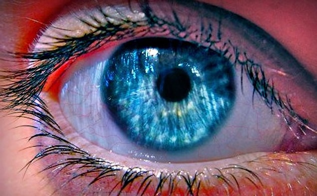 Ela, Kehribar, Bal ve Daha Fazlası! Göz Rengini Tam Olarak Söylemek ...