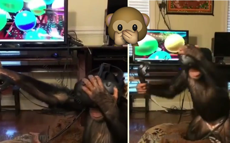 Sanal Gerçeklik Gözlüğü Takınca Maymuna Dönen Maymun - Onedio
