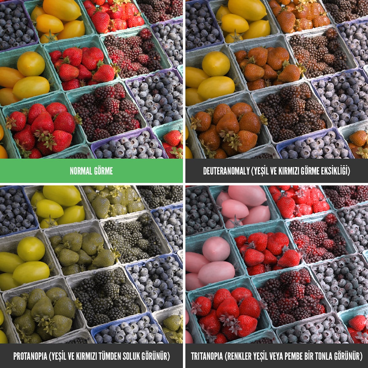 Renk Körü Olan İnsanların Dünyayı Nasıl Gördüğünü Biliyor muydunuz ...