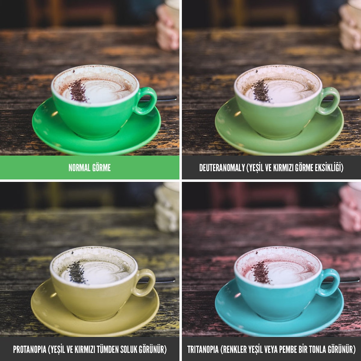 Renk Körü Olan İnsanların Dünyayı Nasıl Gördüğünü Biliyor muydunuz ...