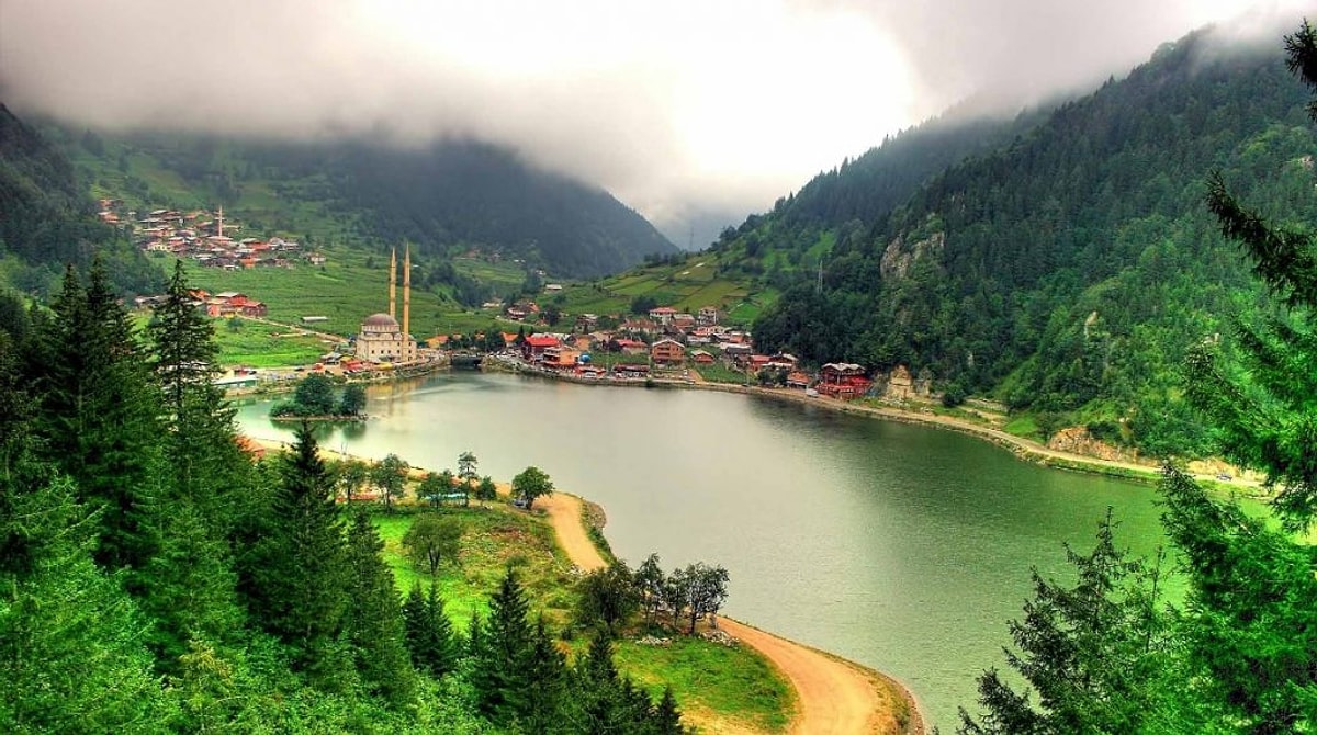 Sen Yağmur Ol Ben Bulut, Trabzon'da Buluşalım: Trabzon'un Korunması ...