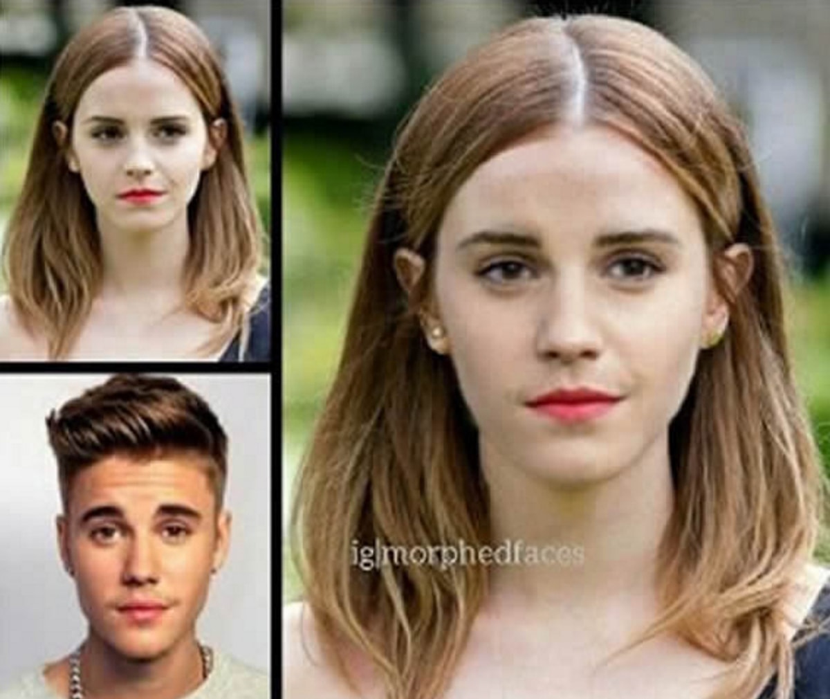 22 Hybrid Celebrities Who Still Look Great After A Face Morph! - Onedio