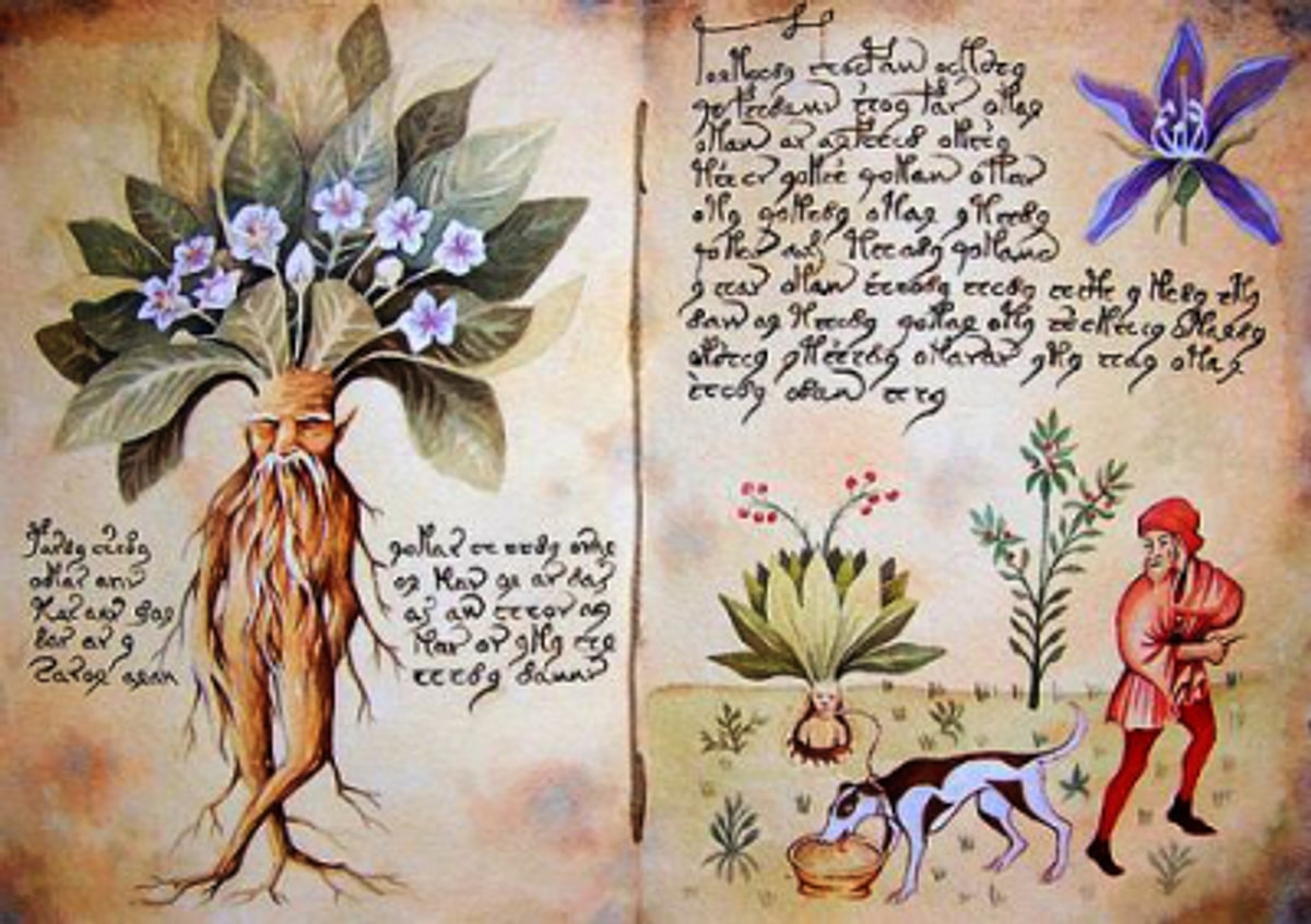 Kökü İnsana Benzeyen ve Hakkında Onlarca Korkunç Rivayet Olan Dünya'nın ...