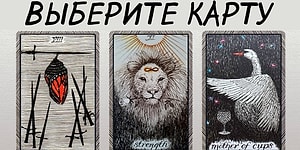 Тест: Какое ваше тотемное животное? - onedio.ru