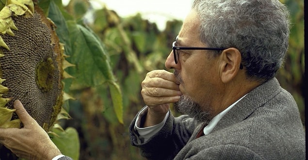 Performansları Sırasında Trajik Bir Şekilde Hayatını Kaybeden 13 Sanatçı