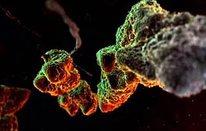 19 Must-Watch BBC Documentaries That Will Make You Smarter - Onedio