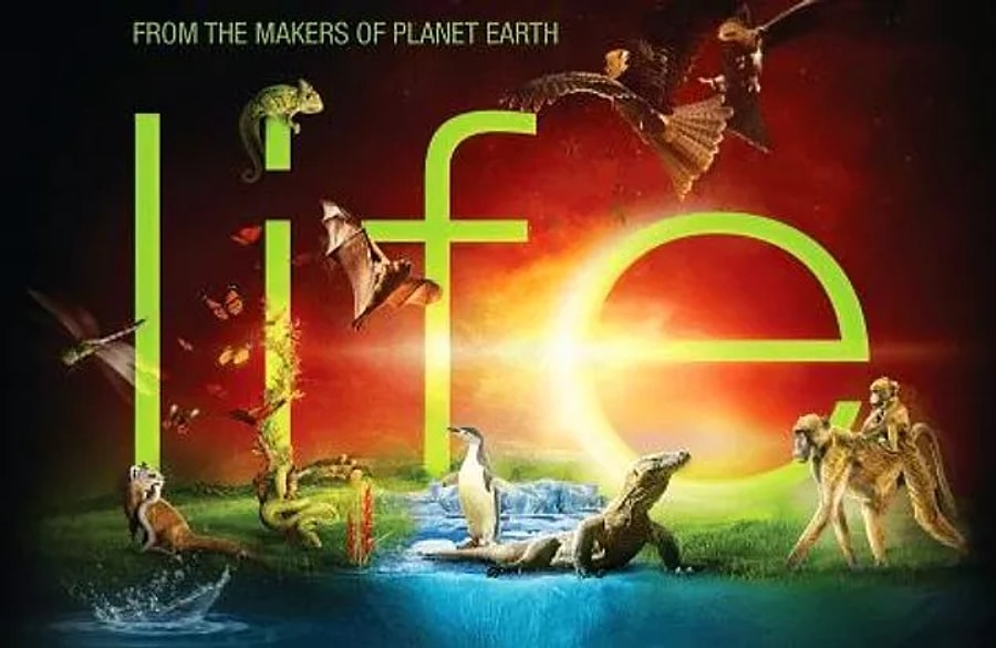 19 Must-Watch BBC Documentaries That Will Make You Smarter - Onedio