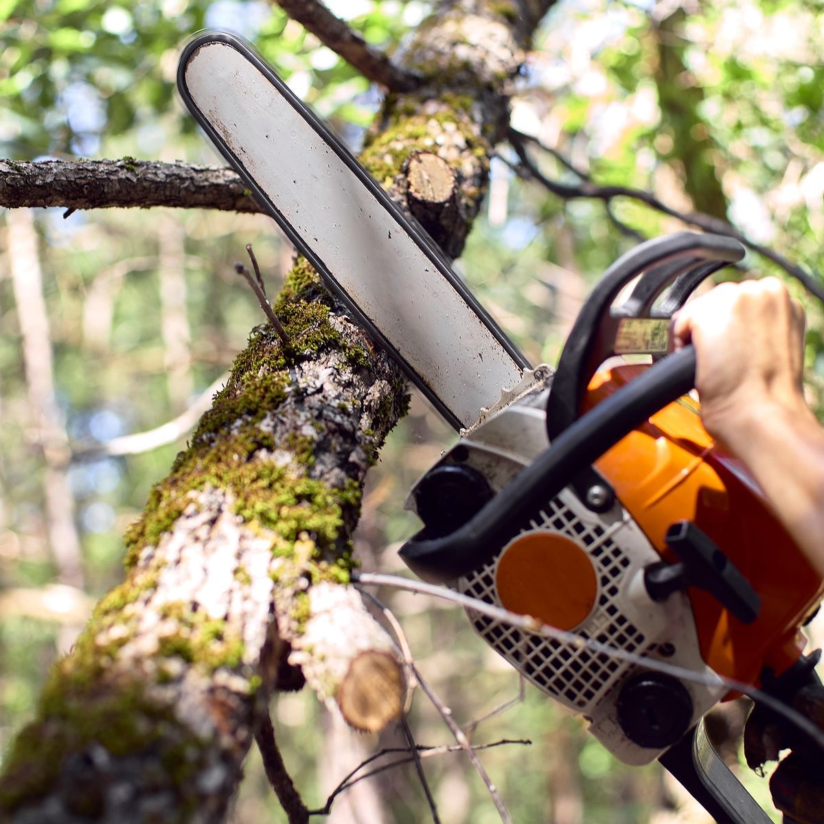 Birbirinden İlginç Hayatta Kalma Hikâyeleri - Onedio