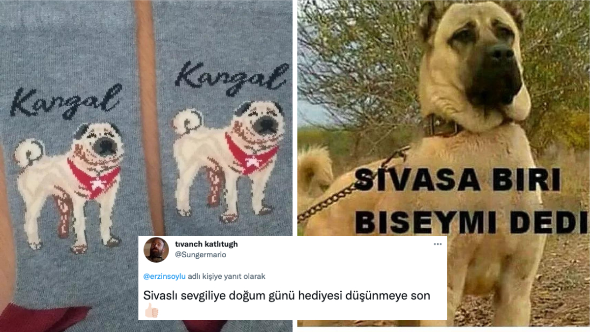 Sivas Kangal Baskılı Çorap Viral Oldu - Onedio