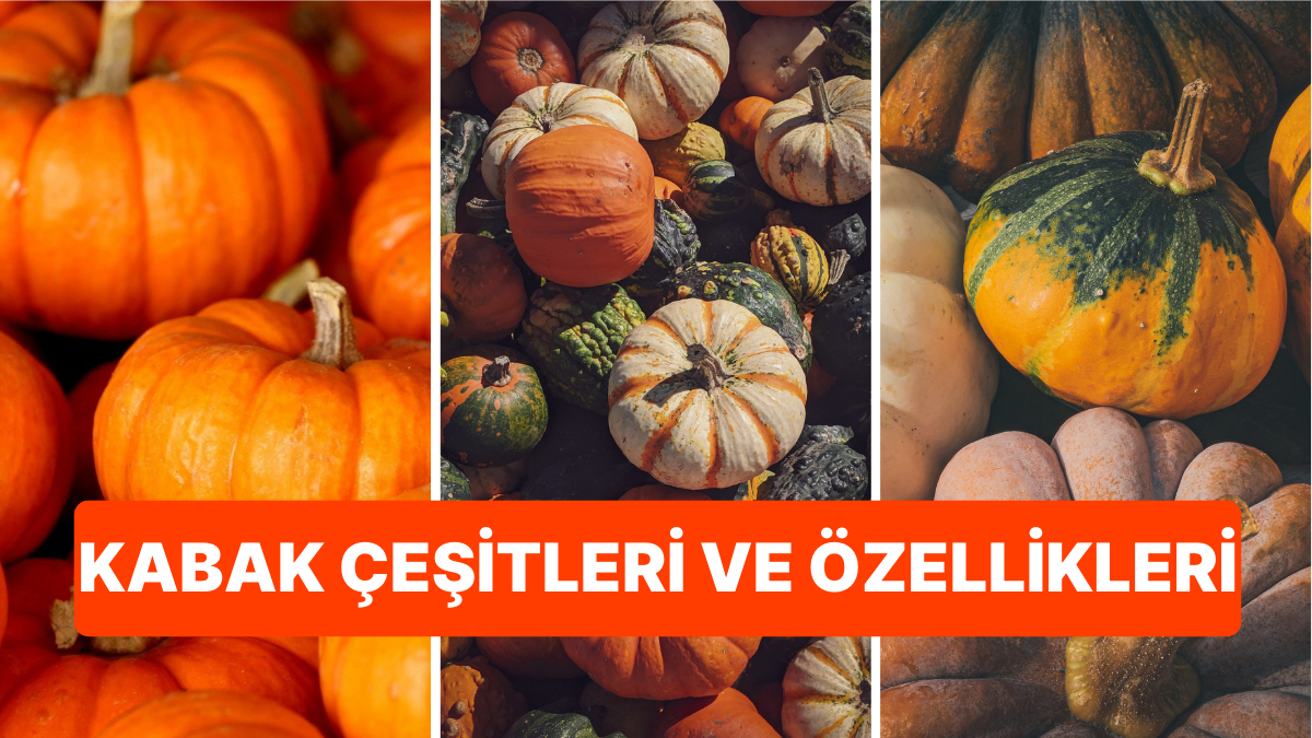 Kabak Türleri - Onedio