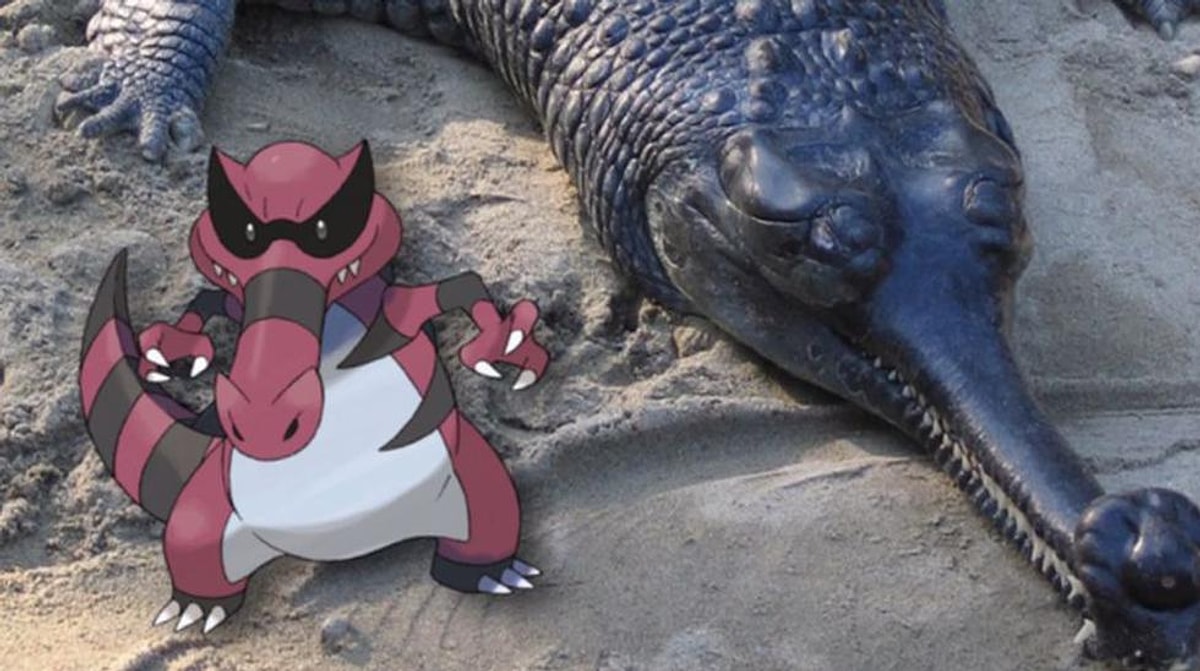 20 Pokemon Based on Rare Real-life Animals: The Uncanny Resemblance ...