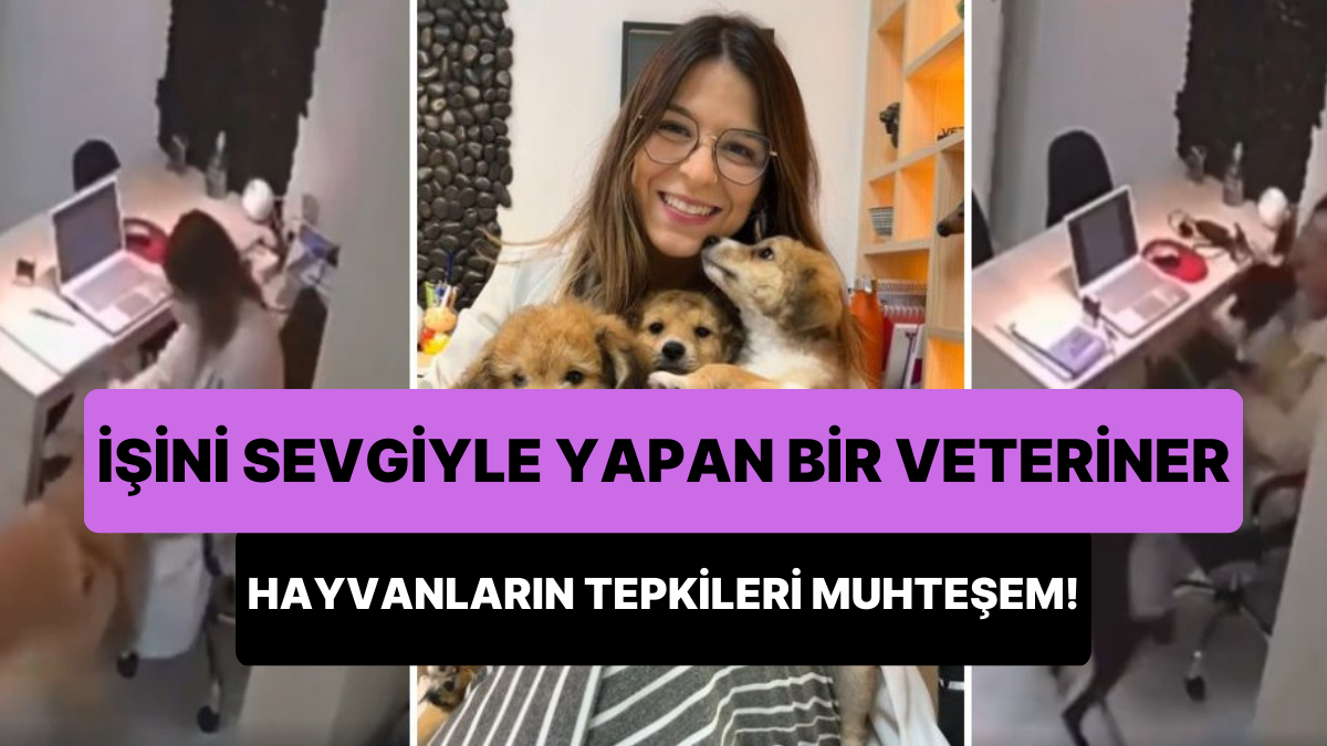 İşini Tutkuyla Yapan Veterinere Gelen Hayvanların Gösterdikleri Sevgi ...