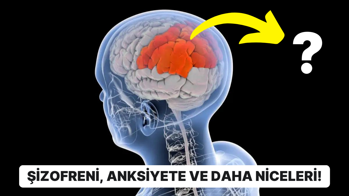 Yeni Bir Beyin Ağı Keşfedildi! - Onedio