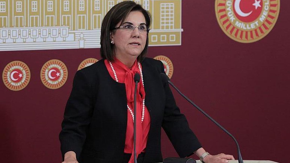 Gaye Usluer Kimdir, Nereli? Gaye Usluer'in Hayatı ve Siyasi Kariyeri ...