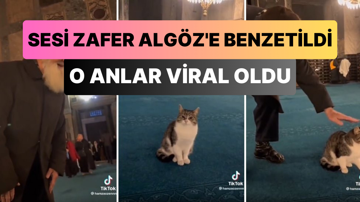 Ayasofya'daki Kediyi Seven Zafer Algöz Sesli Dayının Viral Olan ... Ayasofya'daki Kediyi Seven Zafer Algöz Sesli Dayının Viral Olan ...