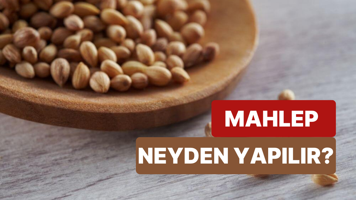 Mahlep Neyden Yapılır? - Onedio