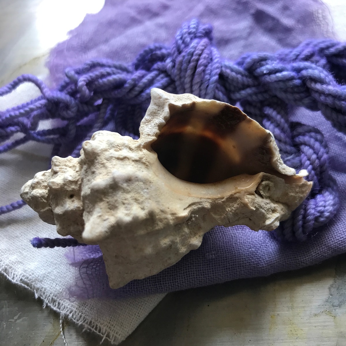 Mor Rengi Nasıl Ortaya Çıktı ve Neden Değerli? - Onedio