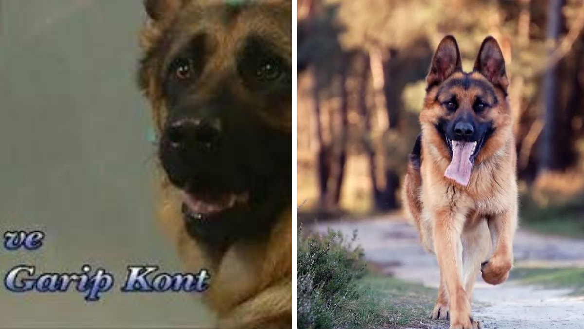 Onlardan Başkası Düşünülemez: İzleyenlere 'O Rol İçin Doğdu' Dedirten ...