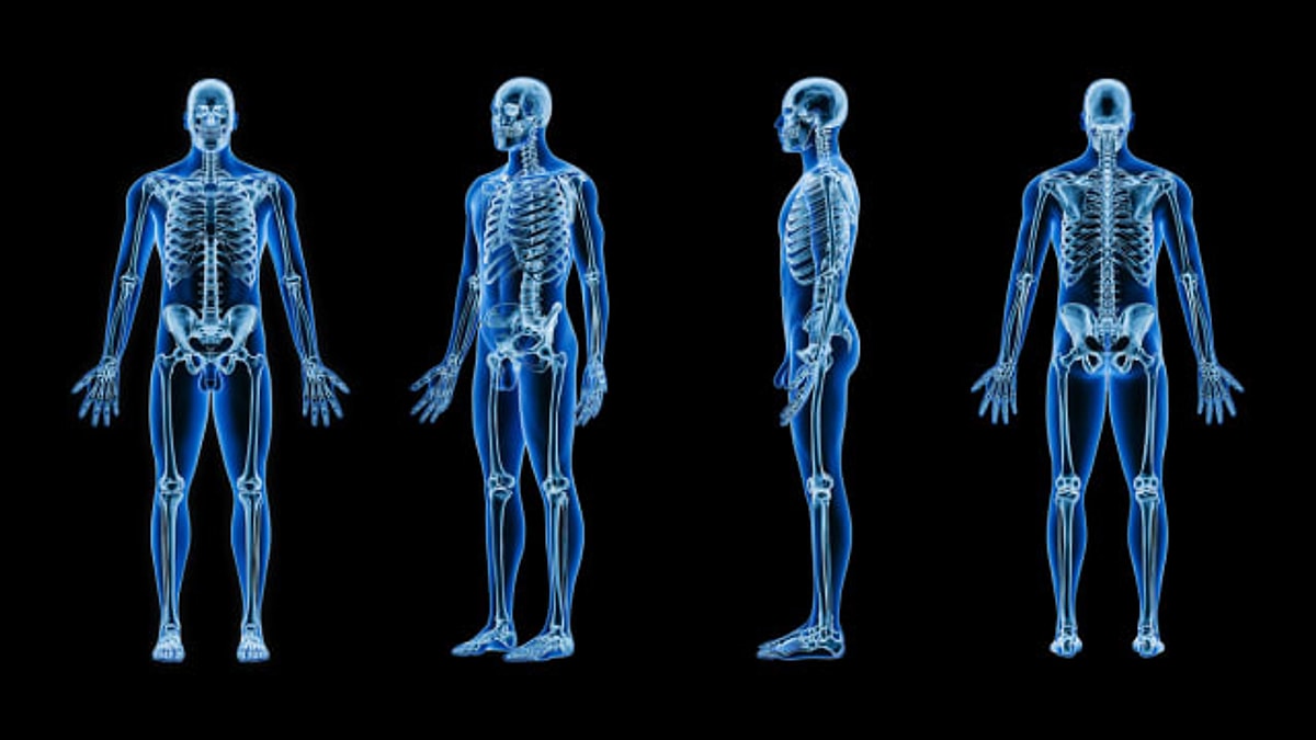 Bu İnsan Anatomisi Testinde Full Çekmek İmkansız Gibi Bir Şey! - Onedio