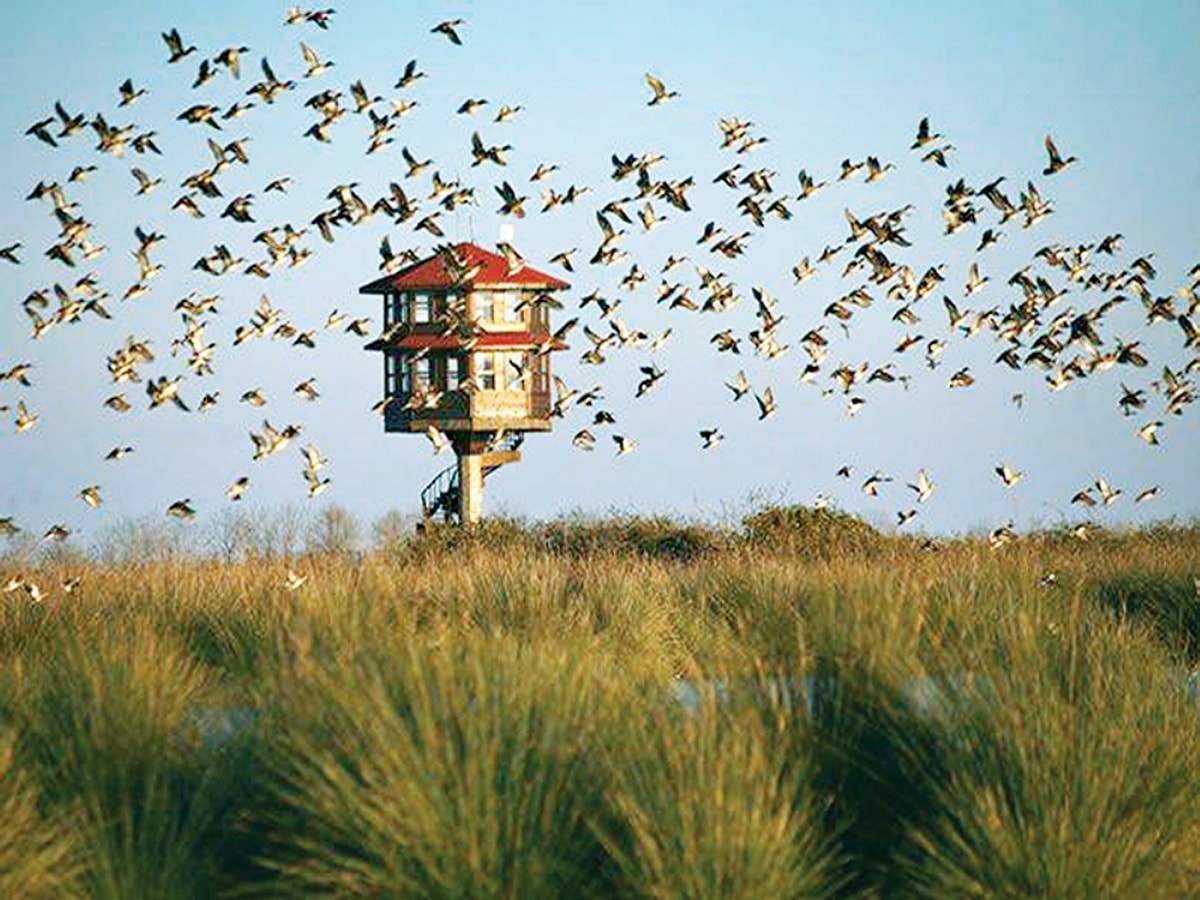 The Kızılırmak Delta Bird Sanctuary : Samsun's Natural Paradise - Onedio