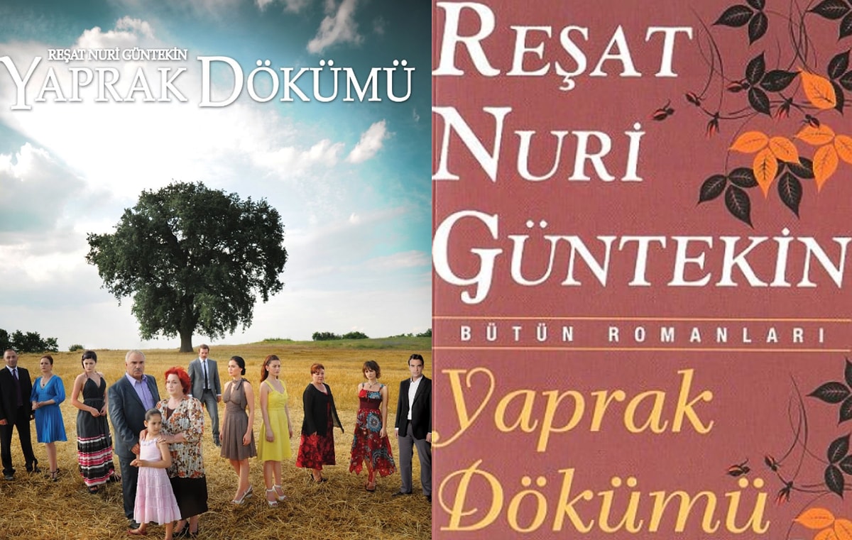 Turkish Novels and their Televised Counterparts: A Journey from ...