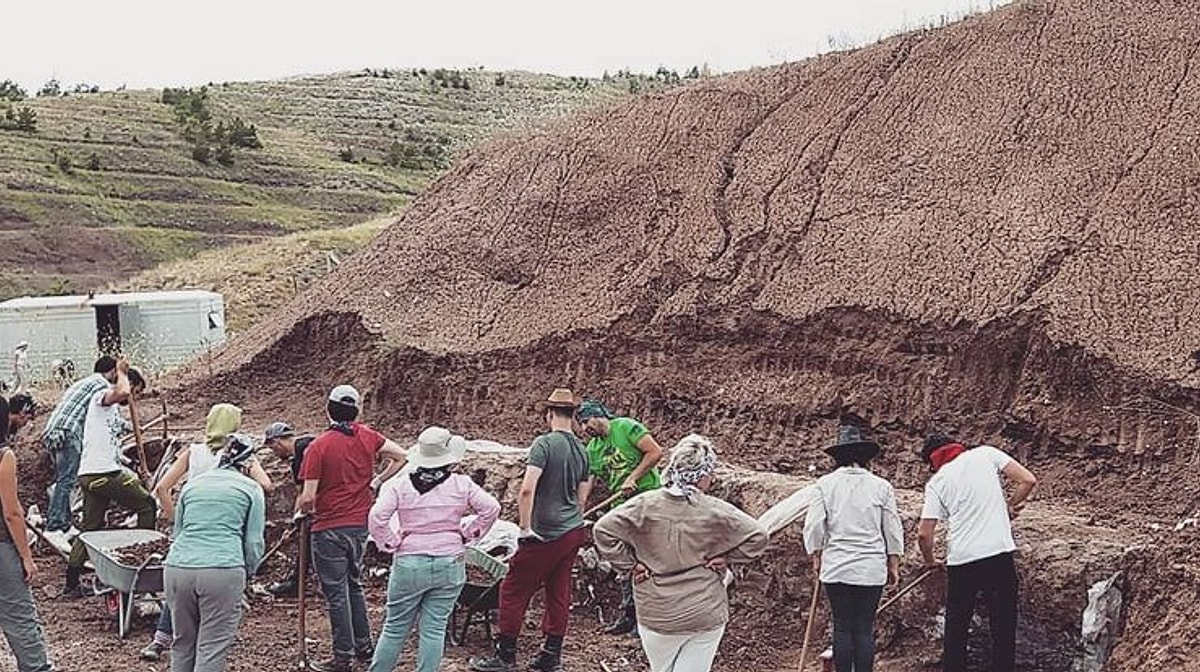 Çankırı'da bulunan 8,7 milyon yıllık fosiller - Onedio