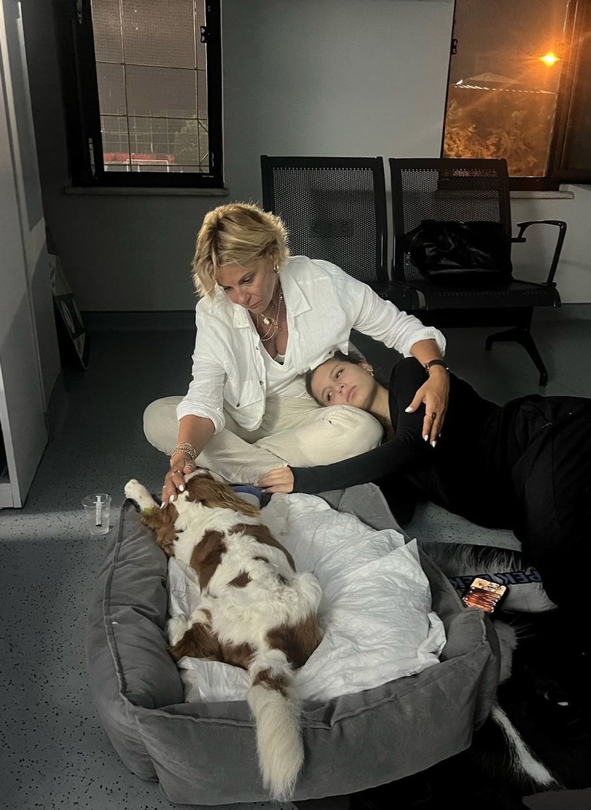 Ayşe Arman'ın Can Dostu Köpeğine Son Vedası Gözlerinizi Yaşartacak - Onedio