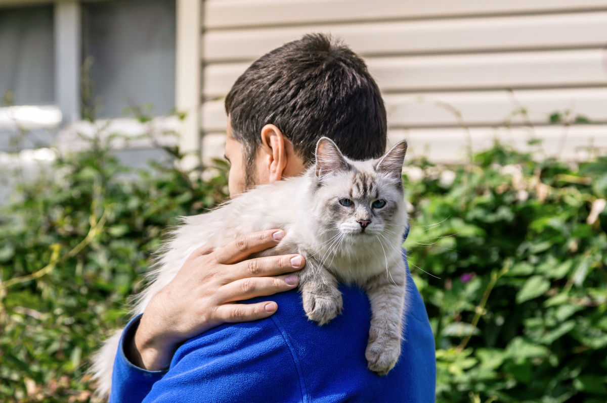 Is There A Link Between Cat Ownership and Schizophrenia? - Onedio