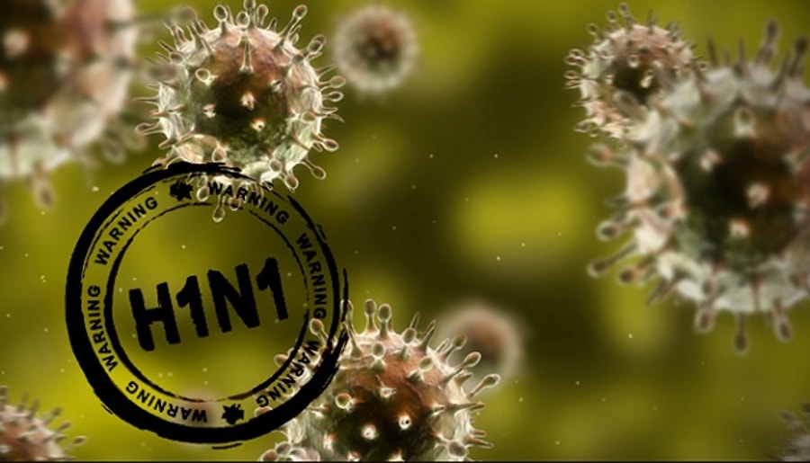 Domuz Gribi Nedir, Belirtileri Nelerdir? - Onedio