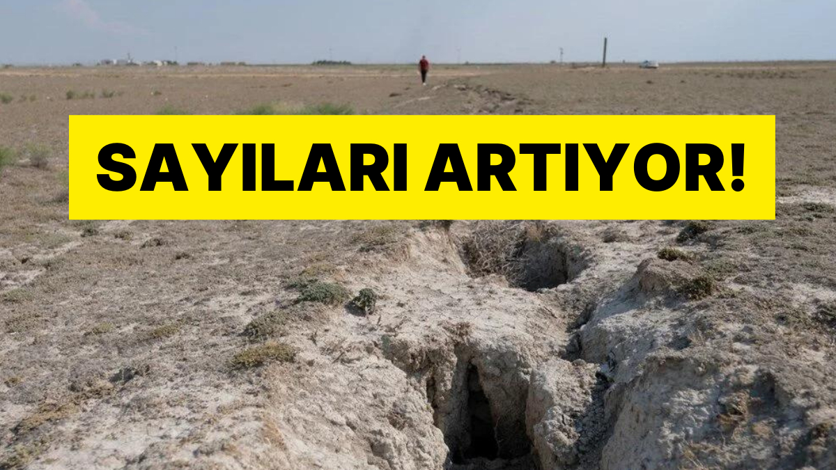 Tedirgin Eden Görüntü: 5 Metreyi Buldu - Onedio