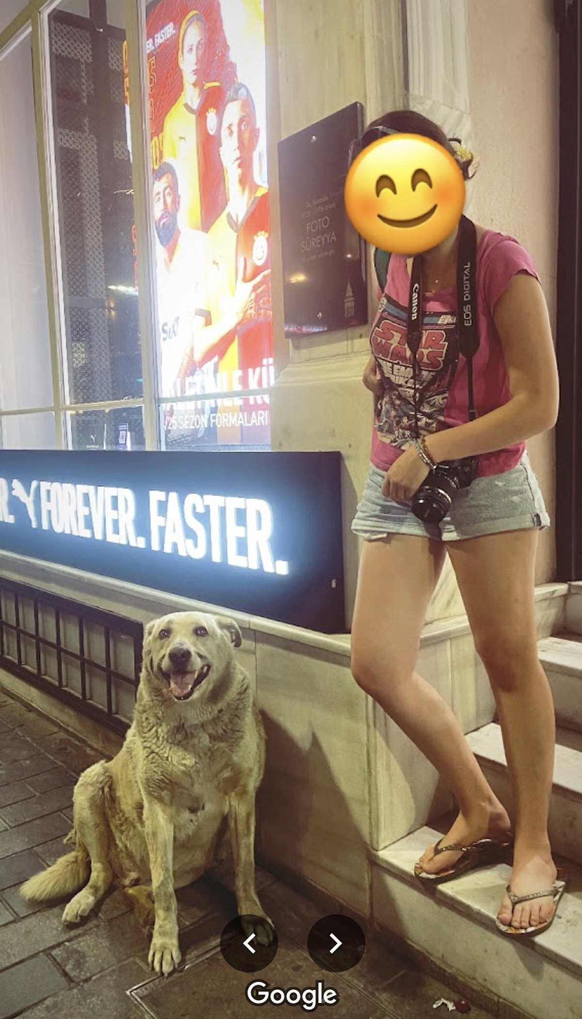 Dog Known as 'The Boulder' is Currently The Highest Rated Tourist ...