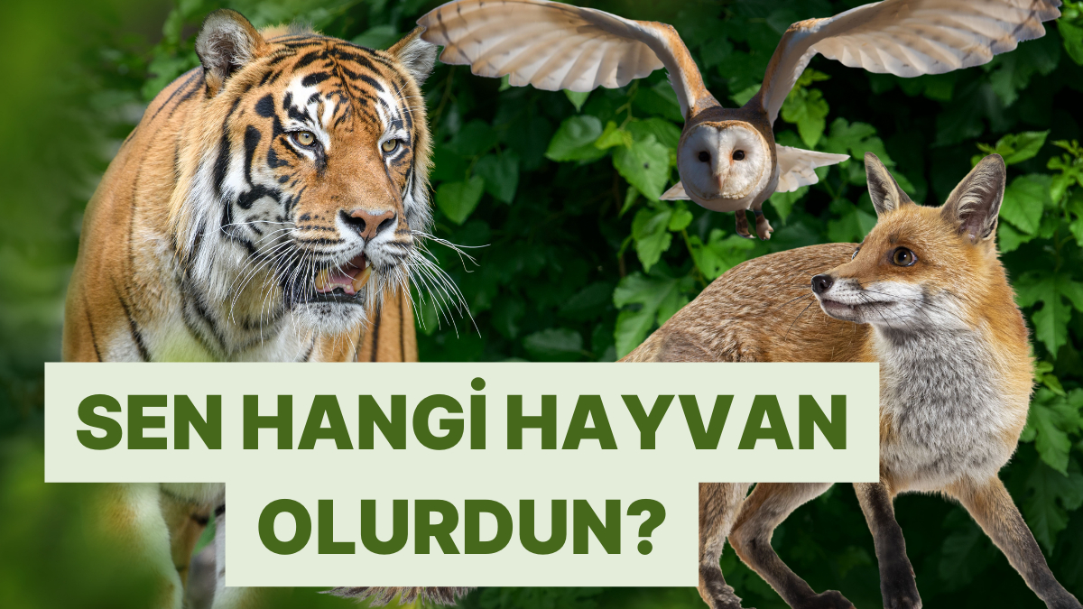 İnsan Olmasaydın Hangi Hayvan Olurdun? - Onedio
