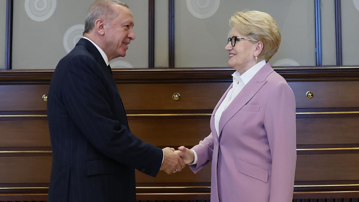 Toplam 7 Dava: Cumhurbaşkanı Erdoğan, Meral Akşener’e Açtığı Davalardan ...