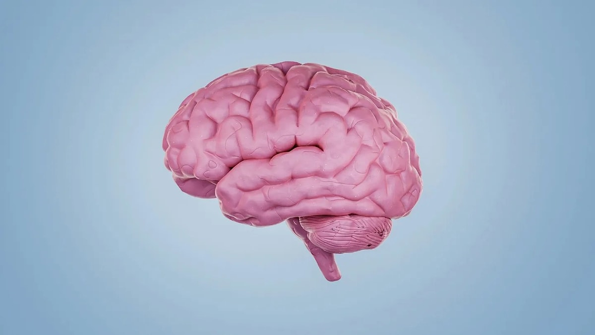 What Will Humans Look Like 1000 Years from Now? - Onedio
