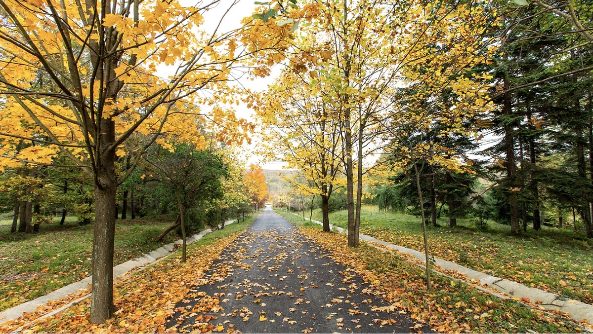 Top 10 Must-Do Activities in Istanbul This Fall - Onedio