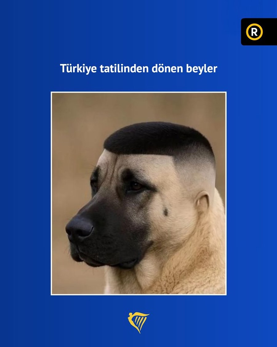 Ryan Air'ın Türkiye Göndermesi Viral Oldu - Onedio