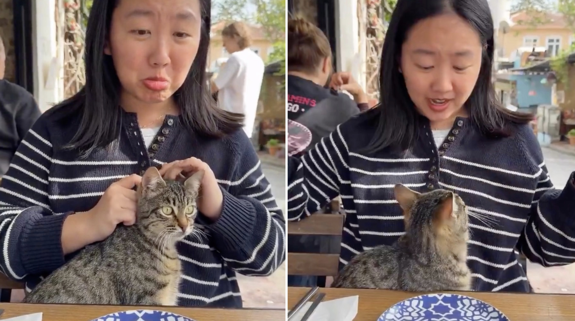 US Tourist Shares Heartwarming Moment With Tabby Cat - Onedio