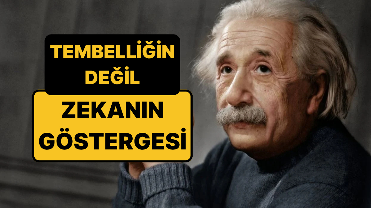 Zeki Olduğunuzu Gösteren Davranışlar - Onedio